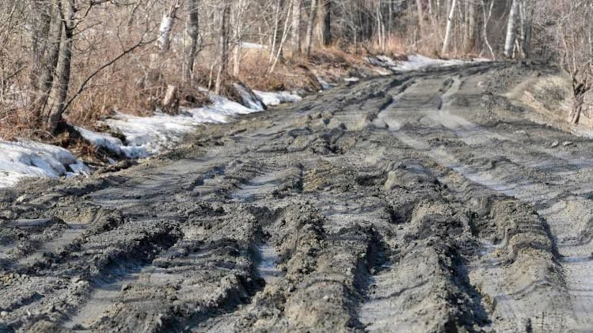 It’s MUD SEASON!